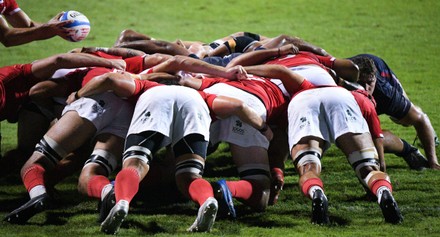 250 Rwc 2023 Stock Pictures, Editorial Images and Stock Photos ...