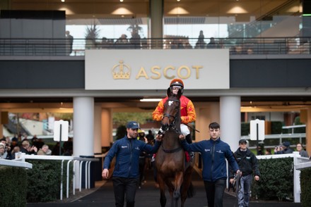 Horse Thunder Rock Ridden By Jockey Editorial Stock Photo - Stock Image ...