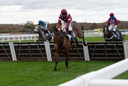 Jockey Daryl Jacob Riding Horse Jankia Editorial Stock Photo - Stock ...