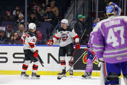 Utica Comets Forward Jack Dugan 10 Editorial Stock Photo - Stock Image ...