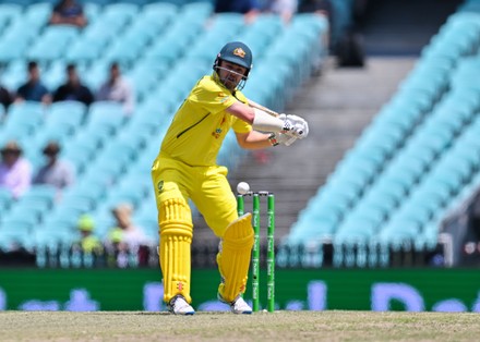Travis Head Australia Bat During Game Editorial Stock Photo - Stock ...