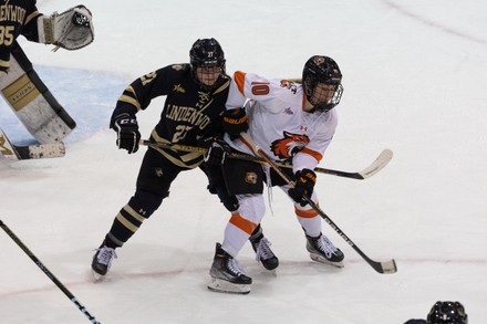 Rit Tigers Goaltender Sarah Coe 30 Editorial Stock Photo - Stock Image ...