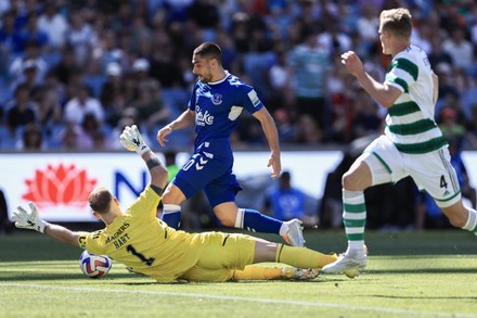 everton v celtic Stock Photos (Exclusive) | Shutterstock
