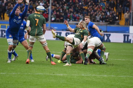 De Klerk Scrum Half South Africa Editorial Stock Photo - Stock Image ...