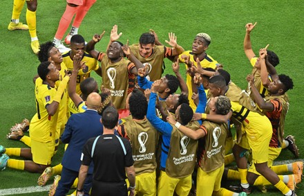 Players Ecuador Celebrate Scoring During Group Editorial Stock Photo ...