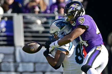 Carolina Panthers Tight End Tommy Tremble Editorial Stock Photo - Stock ...