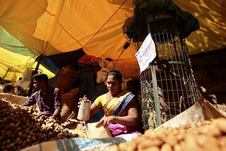 Vendors Sell Peanuts During Annual Groundnut Editorial Stock Photo ...