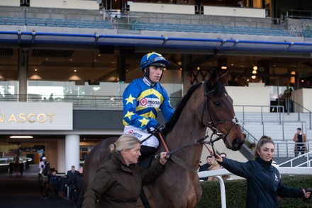 One Ascot Racecourse Farriers Heads Out Editorial Stock Photo - Stock ...