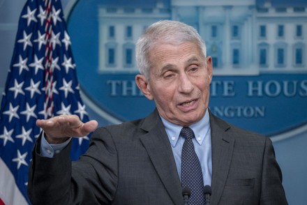 Dr Anthony Fauci Chief Medical Advisor Editorial Stock Photo - Stock ...