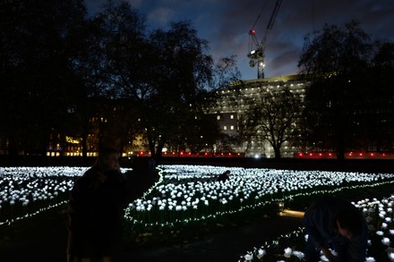White Roses Illuminate Grosvenor Square Editorial Stock Photo - Stock ...