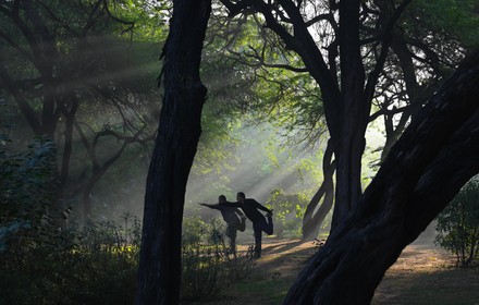 People Practices Yoga Sanjay Lake Park Editorial Stock Photo - Stock ...