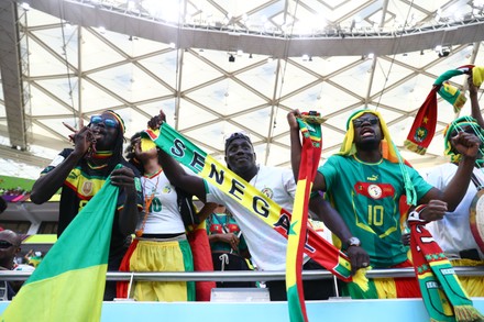 Senegal Fans Editorial Stock Photo - Stock Image | Shutterstock