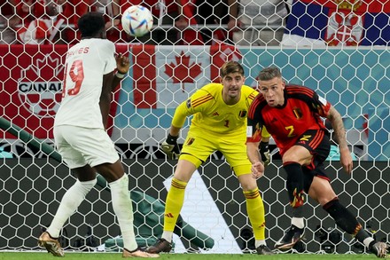 Belgiums Leander Dendoncker Belgiums Goalkeeper Thibaut Editorial Stock ...