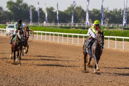 __COUNT__ Horse Racing, Sharjah, Dubai, UAE - 27 Nov 2022 Stock ...