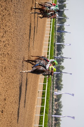 __COUNT__ Horse Racing, Sharjah, Dubai, UAE - 27 Nov 2022 Stock ...