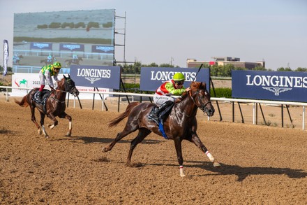 Barghash Ae Ridden By Ray Dawson Editorial Stock Photo - Stock Image ...
