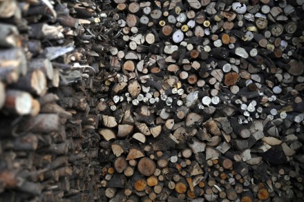 Firewood Stacked Preparation Winter Season Town Editorial Stock Photo ...