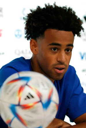 Usa Soccer Player Tyler Adams Reacts Editorial Stock Photo - Stock ...