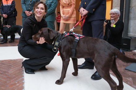 __COUNT__ The 'Adopt a 4-legged hero' campaign in Madrid, Spain - 24 ...