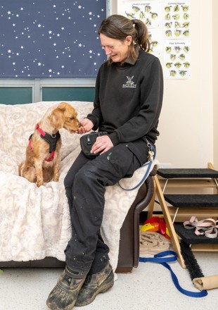 Val Dog Manager Topsy Training Room Editorial Stock Photo - Stock Image ...