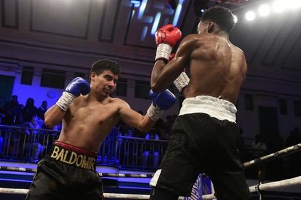 Gelian Rajku Celebrates After Cruiserweight Bought Editorial Stock ...