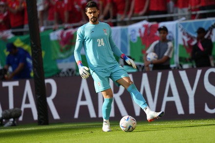 Arrayyan Qatar 25112022 Irans Goalkeeper Hossein Editorial Stock Photo ...