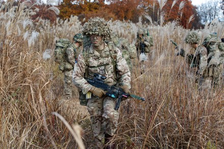 3,000 Exercise field Stock Pictures, Editorial Images and Stock Photos ...