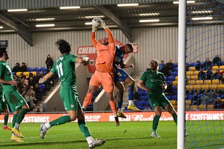 Chesterfield Goalkeeper Ross Fitzsimons 1 Catches Editorial Stock Photo ...