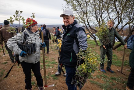 People Carry Tree Saplings During First Editorial Stock Photo - Stock ...