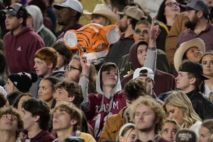 Texas Aggies Fans Mocking Lsu Tigers Editorial Stock Photo - Stock ...