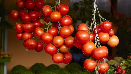 250 Bundles of food Stock Pictures, Editorial Images and Stock Photos ...