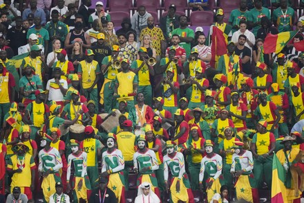 Senegal Fans Editorial Stock Photo - Stock Image | Shutterstock