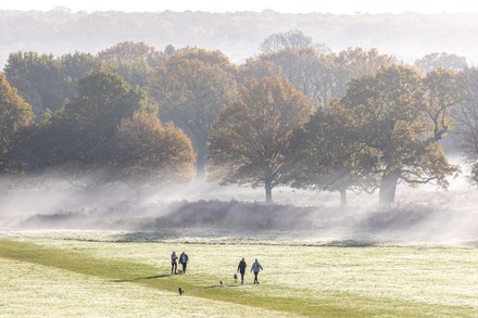 2,000 2c' Stock Pictures, Editorial Images and Stock Photos | Shutterstock