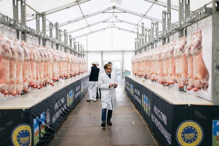 Picture Shows Judges Judging Meat Produce Editorial Stock Photo - Stock ...