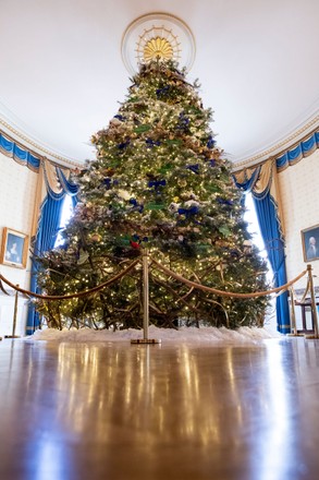 Official White House Christmas Tree Stands Editorial Stock Photo ...