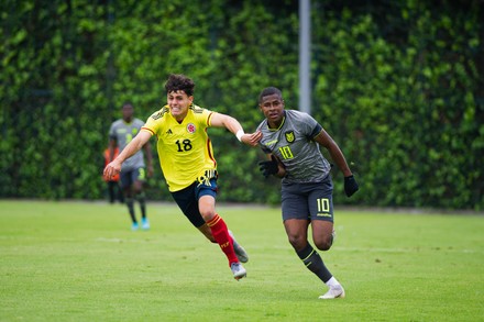 250 Ecuador v colombia Stock Pictures, Editorial Images and Stock ...