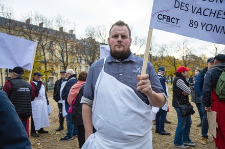 French Butchers Gather Next National Assembly Editorial Stock Photo ...