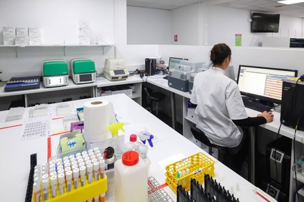 Visit Synlab Barla Medical Biology Technical Editorial Stock Photo ...