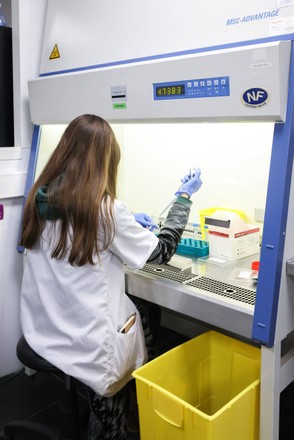 Visit Synlab Barla Medical Biology Technical Editorial Stock Photo ...