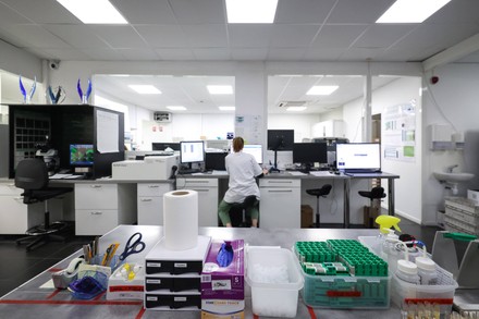 Visit Synlab Barla Medical Biology Technical Editorial Stock Photo ...