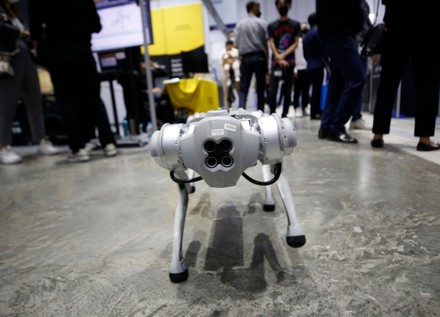People Attend Presentation Robodog Unitree G01 Editorial Stock Photo ...