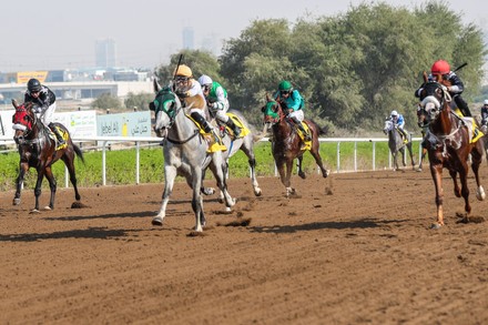 __COUNT__ Horse Racing, Jebel, Ali Dubai, UAE - 03 Dec 2022 Stock ...