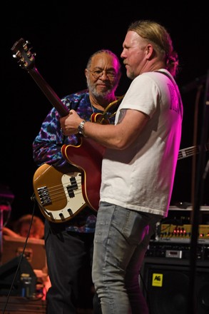 allman family revival pompano beach Stock Photos (Exclusive) | Shutterstock