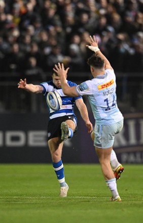 bath v harlequins Stock Photos (Exclusive) | Shutterstock