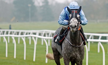 Resplendent Grey Sean Bowen Wins Racing Editorial Stock Photo - Stock ...