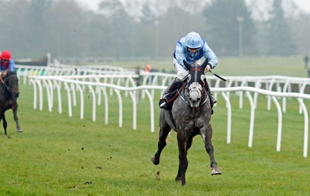 Resplendent Grey Sean Bowen Wins Racing Editorial Stock Photo - Stock ...