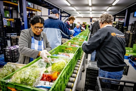 Volunteers Food Bank Hague Packing Food Editorial Stock Photo - Stock ...