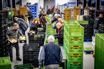 Volunteers Food Bank Hague Packing Food Editorial Stock Photo - Stock ...