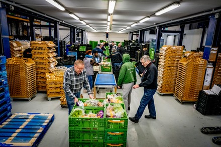 Volunteers Food Bank Hague Packing Food Editorial Stock Photo - Stock ...