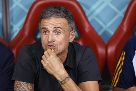 Spain Coach Luis Enrique During Fifa Editorial Stock Photo - Stock ...